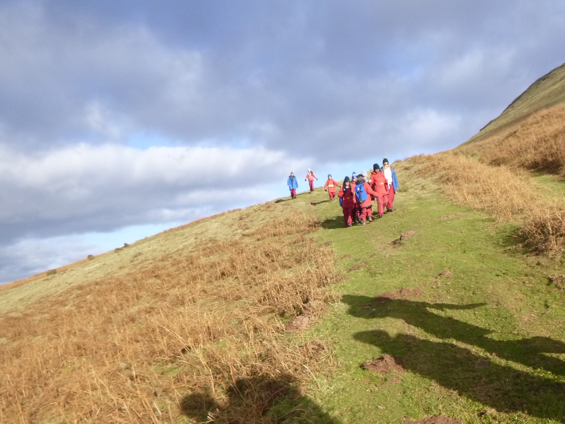 Group 2 Walk Bush (9) – Trewern Outdoor Education Centre